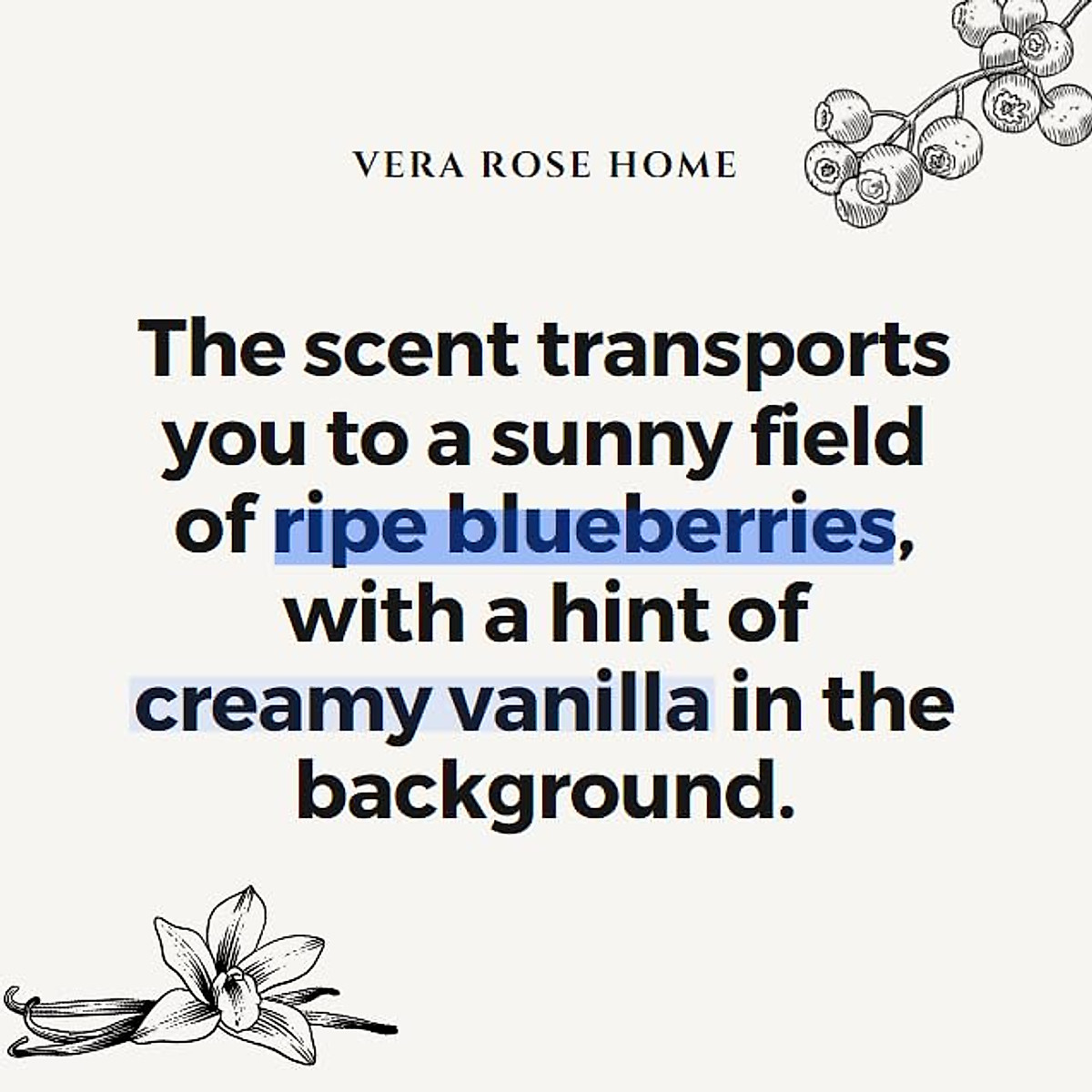Vera Rose Home Blueberry & Vanilla Scented Soy Candle Long Burning Highly Scented Candles 60+ Hours Clean White Vegan Candle Odor Eliminating Candle Safe for Pets 12oz Jar