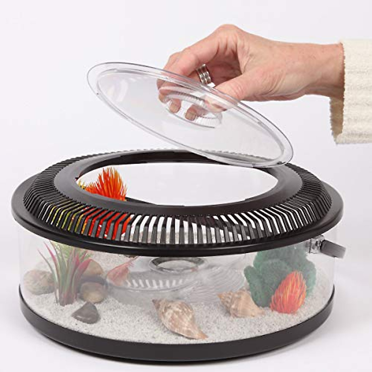 Repitat Reptile Carrier with Cover and Handle