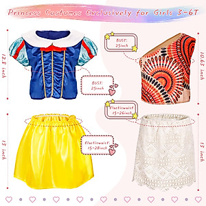 BiBiblack Girls Princess Dressup Trunk - 22PCS Pretend Play Costume Set Dressup Play Clothes for Little Girls Ages 3-6 Years