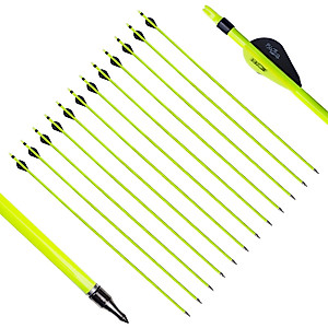 12Pcs 31'' Fluorescent Yellow Pure Carbon Arrows with Replaceable Points for Compound Bow and Recurve Bow Hunting and Target Practice