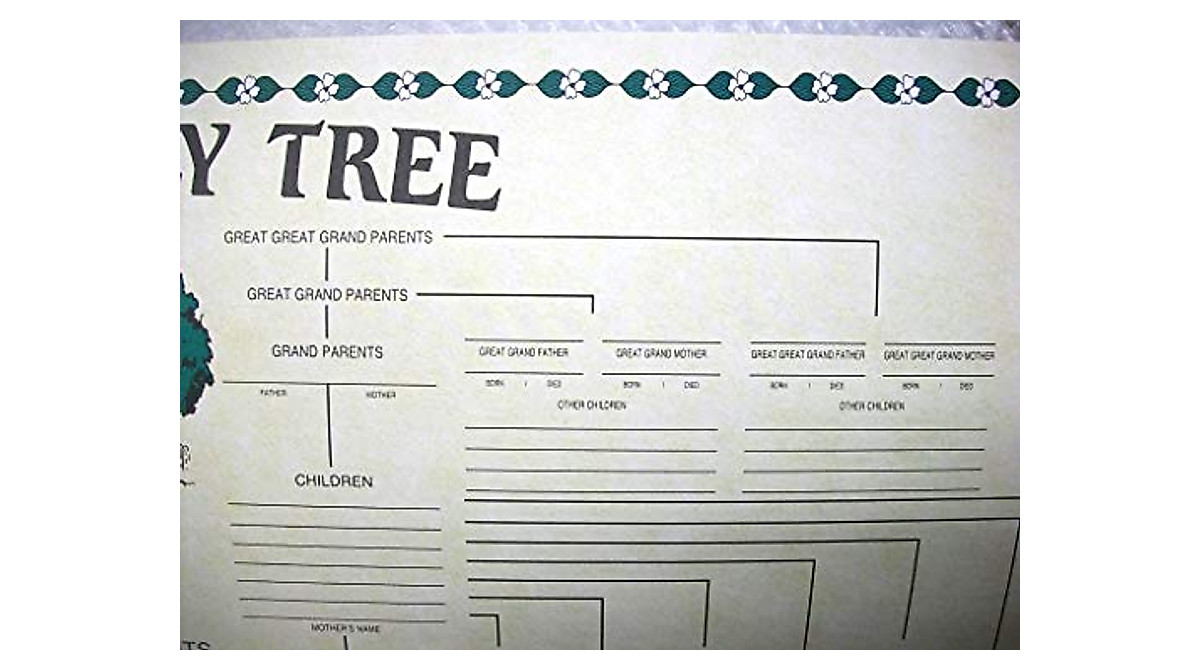 Discover Your Heritage with Family Tree Chart