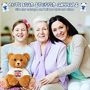 Chalyna Breast Cancer Stuffed Bear 16 Inch Plush Breast Cancer Awareness Bear Animal Pink Ribbon Bear Soft Cancer Survivor T Shirt Bear Breast Care Gift for Women