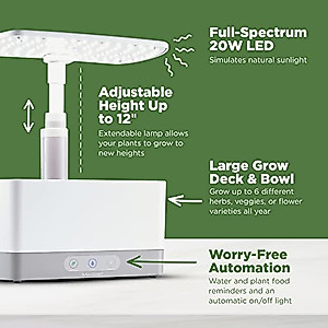 AeroGarden Harvest with Gourmet Herb Seed Pod Kit - Hydroponic Indoor Garden, Black