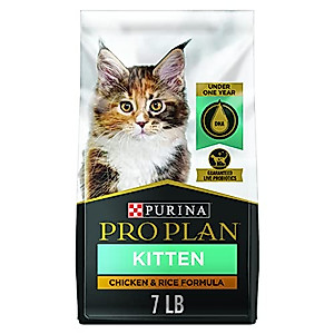 Purina Pro Plan With Probiotics, High Protein Dry Kitten Food, Chicken & Rice Formula - 7 lb. Bag