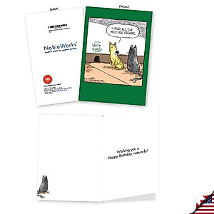 NobleWorks Assorted 3 Pack of Cats Humor Birthday Cartoons Greeting Cards with Envelopes (3 Designs, 1 Each) Cat Laughs VC2805BDG-C1x3