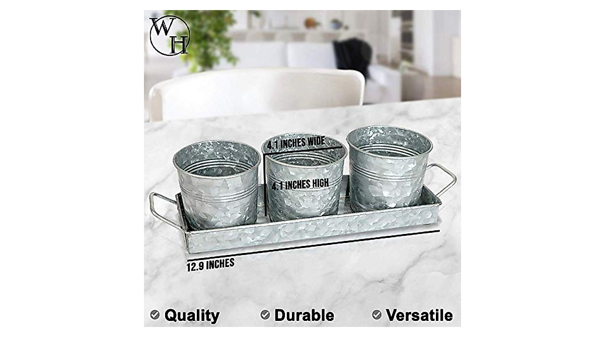 WH Farmhouse Herb Pot Set with Tray - Rustic Metal Planters