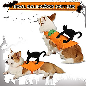 Small Dogs Cats Halloween Costume, Puppy Adjustable Cloths with Black Cat Pumpkin Decoration, Funny Pet Cosplay for Halloween Party, M