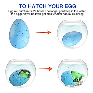 Dinosaur Party Favors Funny Mini Dinosaur Toys Dinosaur Birthday Party Supplies 24 Pack Dino Eggs and 24 Hatching Card Bulk Gifts Novelty Birthday Party Decorations for Kids Boys Girls Toddler