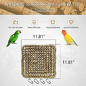 Bird Seagrass Mat,Natural Seagrass Woven Net Bird Foraging Chew Wall Toys Parakeet Hammock Mat with Hooks for Lovebird Cockatiel Conure Budgie,Size 28.3" X 6.7" and 11.81" X 11.81"(2 Pcs)