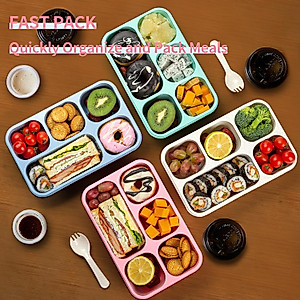 TurtingAs Snack Containers, 4 Pack Reusable Bento Snack Box, 4 Compartments Meal Prep Lunch Containers for Kids Adults, Divided Food Storage Containers for School Work Travel