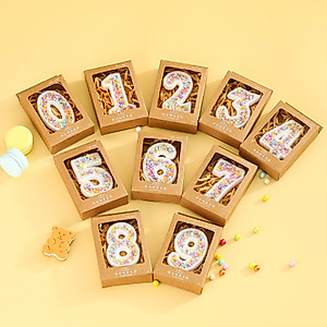 PHD CAKE 2.76 Inch Number 1 Macaron Birthday Candles, Macaron Themed Number Candles, Cake Number Candles, Party Celebration