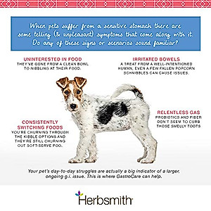 Herbsmith GastroCare - For Cats & Dogs with Sensitive Stomachs - Cat and Dog Digestive Support - Ease Canine and Feline Sensitive Stomach - 75g
