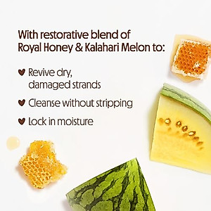 Not Your Mother's Naturals Protect & Nourish Shampoo & Conditioner Set - 15.2 fl oz - Sulfate-Free Hair Products - Royal Honey & Kalahari Desert Melon