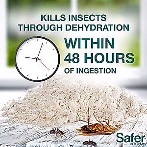 Safer Brand 51703 OMRI Listed Diatomaceous Earth - Ant, Roach, Bedbug, Flea, Silverfish, Earwig, & Crawling Insect Killer