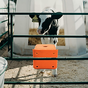 ULTECHNOVO Mineral Salt Block Holder Livestock Salt Block Feeder Farm Animal Feeding Containers Salt Lick Feeding Boxes for Horses Cattle Sheep Orange
