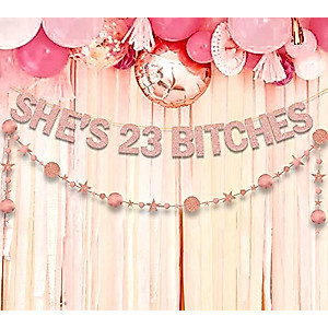 Ushinemi She's 23 Bitches Banner 23rd Birthday Decorations for Women, Funny Glitter Rose Gold Birthday Banner With Circle Dot Twinkle Star Garland