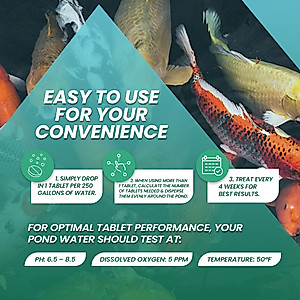 Koi Pond Cleaner Tablets - Makes The Pond Clear with Natural Pond Bacteria & Enzymes, Ideal for Koi Fish Pond - 25 Pcs. Koi Pond Muck and Sludge Remover Tablets, Safely Provides Clean and Clear Water