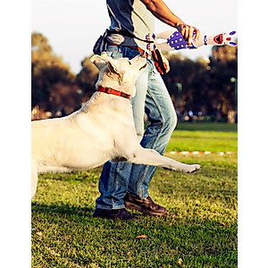 DAJOOEE Screaming Rubber Chicken Dog Squeaky Toy, 9 Inch Tall, Latex Chew Molar Dog Toy,1pcs