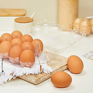 Stockroom Plus 48-Pack Plastic Egg Cartons, Holds 1 Dozen with Date Labels Included, Bulk Pack of Reusable Egg Cartons for Chicken Eggs, Home Ranch, Farm, Commercial Use, Market Display
