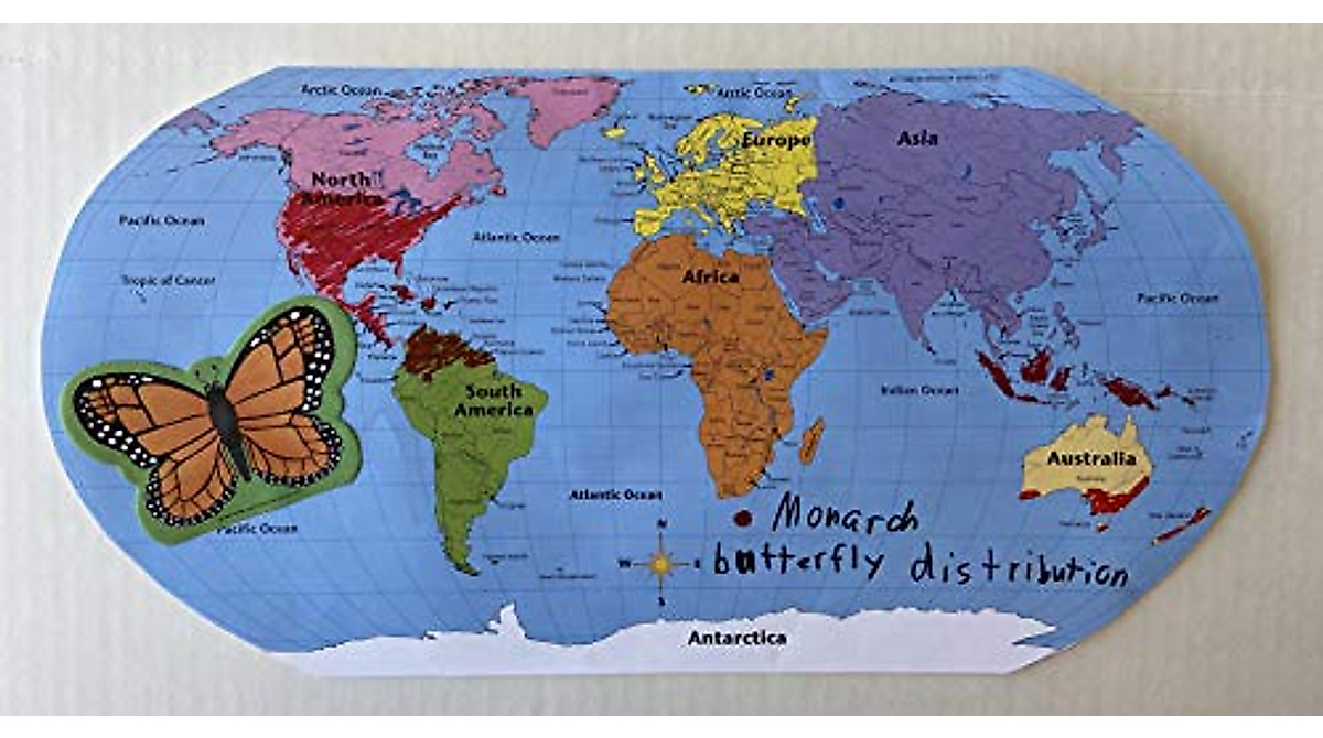 8” x 16” Labeled World Practice Maps, 30 Sheets in a Pack for Social ...