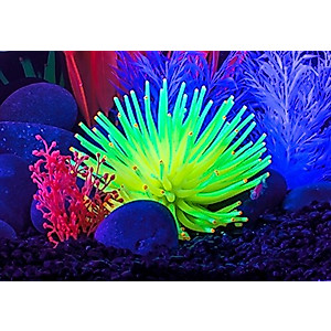 GloFish Anenome Ornaments, Fish Tank Decorations, Aquarium Decorations, Creates a Glowing Effect