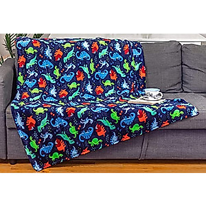 FAITH, HOPE, LOVE HOME DÉCOR Summertime Whimsy Plush Fleece Kid Throw Blanket (50" X 60") - Dino Time - Soft Dinosaur Throw Blanket - for Boys and Girls and Kids of Any Age