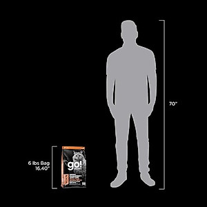 Go! Solutions Weight Management + Joint Care, Grain-Free Dry Cat Food, Salmon Recipe, 6 lb Bag