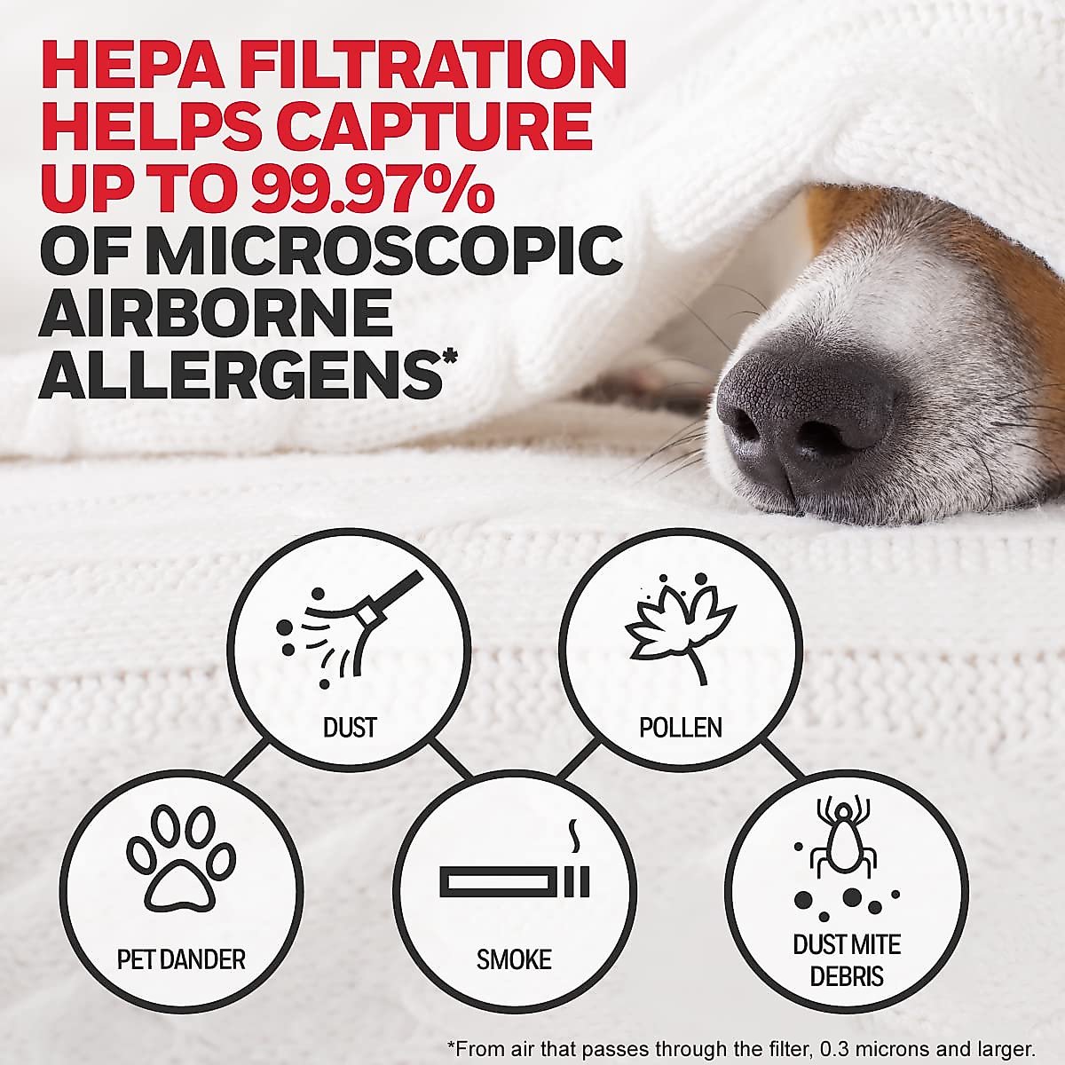 Honeywell HEPA Air Purifier Filter Value Kit – Includes 2 R HEPA Filters and 1 A Pre-Filter Roll with Cutting Template