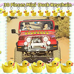 HKACSTHI 30 Pieces Duck Keychain Rubber Duck Keychain Resin Duck Keychain Mini Duck Keychains for Cruising 3D Duck Chains Duck Charms Pendant Accessories Duck Party Favors