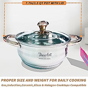 BAERFO 1.5 Quart Stock Pot,5 Ply 18/8 Stainless Steel Cooking Stock Pot with Lid, 1.5 QT Soup Pot, Healthy Stockpots, Casserole, Stew, Induction, Oven,Gas and Dishwasher Safe Pot