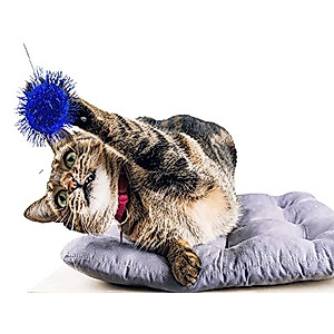 Hulless 20 Pcs 2 Inch Cat Sparkle Balls Toy Interactive Balls for Kittens Exercise and Cats Play and Chase