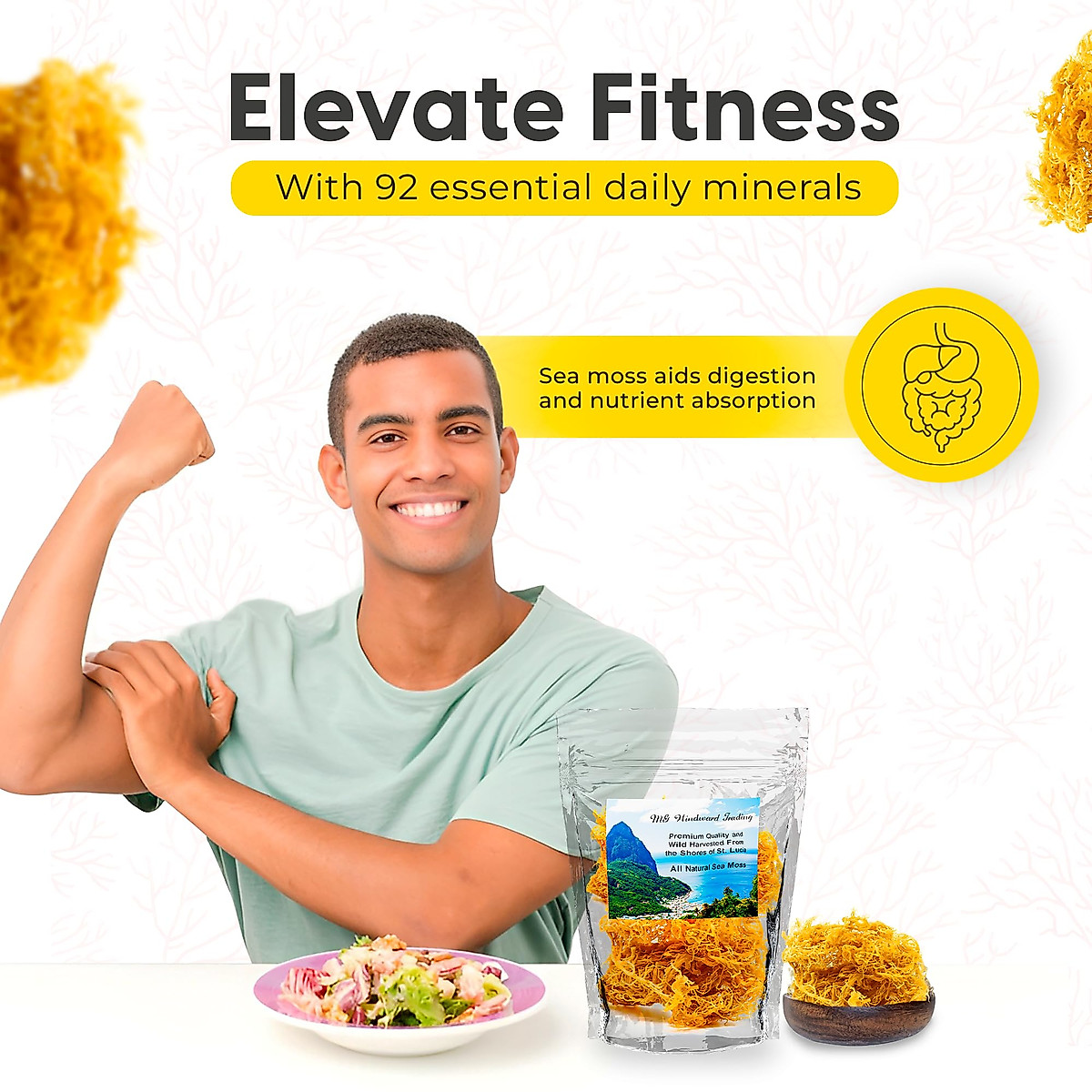 Certified Wild Harvested Gold Irish raw Sea Moss from St.Lucia,Makes 165 oz gel, Dr.Sebi Grade,Wild Harvested Powerful Antioxidants,Vitamins,Minerals and Nutrients All Natural,4 Ounce (Pack of 1)