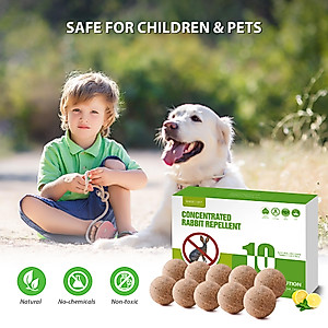 MAGIC CAT Rabbit Repellent Outdoor, 10 Pack Natural Peppermint Oil Deer and Rabbit Away Repellent for Plants Pet Family Safe, Rabbit Deterrent Deer Stopper to Keep Deer Bunny Out of Yard Garden Lawn