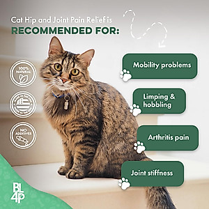 Cat Hip and Joint Pain Relief Supplement - Cat Arthritis Pain Relief, Heal from Sprains, Inflammation and Injuries, Improve Mobility - Natural Easy-to-Swallow, Odorless, Tasteless - 400 Pills