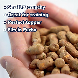 healthybud Raw Dog Food, Freeze Dried Beef Bites, Grain Free Puppy Food, Human Grade, High Protein, Dehydrated Real Meat Dog Treats & Toppers, 14.1 oz