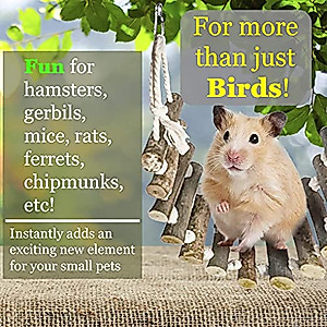 SunGrow Gecko Wooden Ladder Bridge, 14” Customizable, Versatile Enrichment Exercise Gym, Increase Living Vertical Space for Geckos, Hermit Crabs, and Pocket Pets