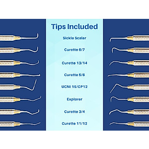 ARTMAN INSTRUMENTS Dental Hygienist Tool Kit (10 PCs) – Includes Mirror, Probe, Tweezer, Scalers, Pocket Probe, Curettes – Prophylaxis Teeth Cleaning Set, Autoclavable, with Sterilization Cassette
