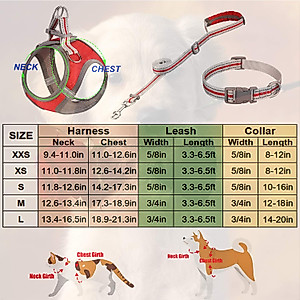 JSXD Small Dog Harness,Puppy Harness,Adjustable Leash and Collar Set for Small Dogs,Step-in Dog Harness,3M Reflective Pet Dog Vest for Small Medium Puppy