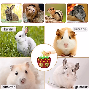 Rabbit Hay Feeder Bag, Hay Feeding Bag for Rabbits,Guinea Pig Hay Feeder Storage, Hanging Rabbit Hay Feeder Bag for Guinea Pigs Bunnies Chinchillas（Red）