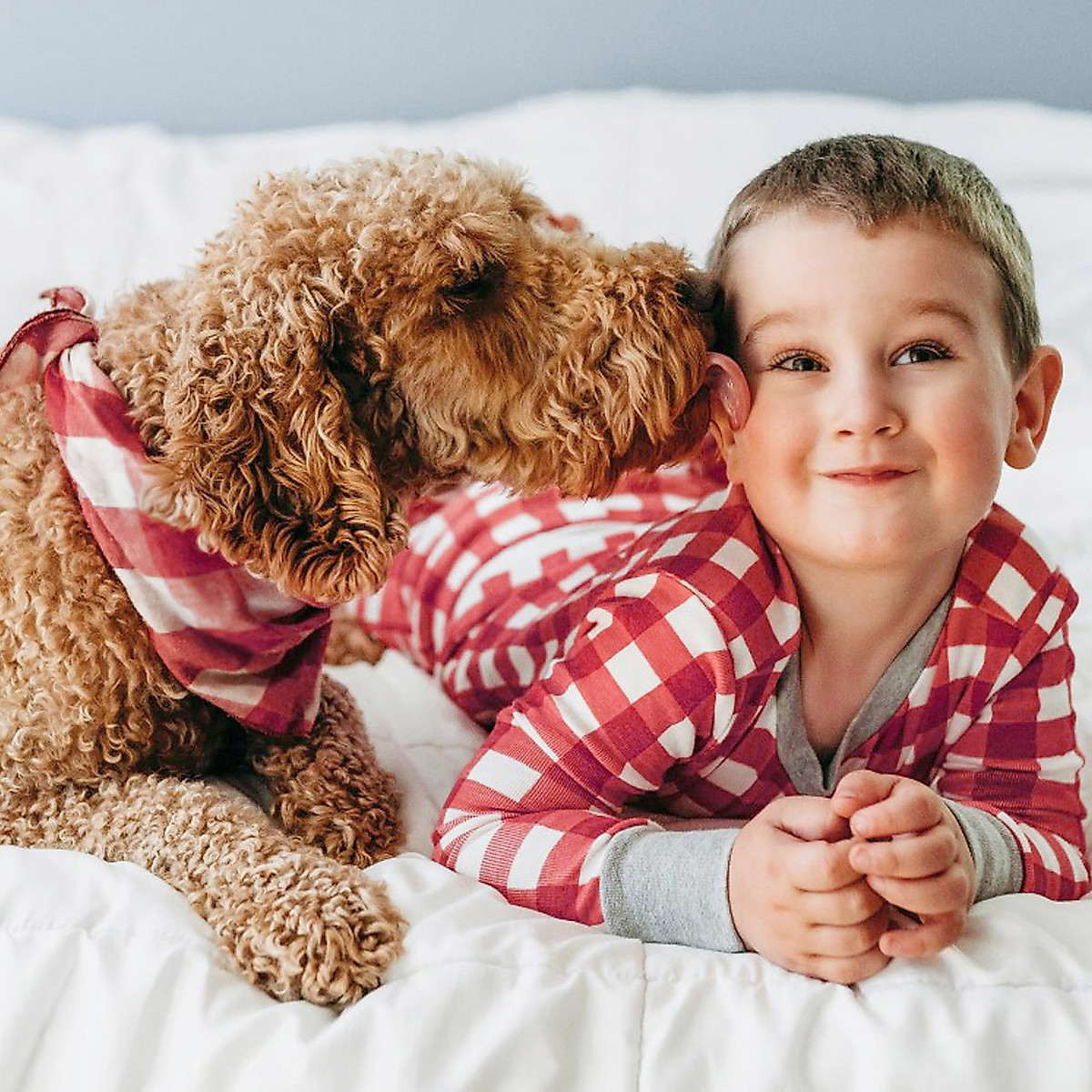 HonestBaby Family Matching Holiday Pajamas Organic Cotton for Men, Women, Kids, Toddlers, Baby Boys, Girls, Unisex Pets , Painted Buffalo Check Red, 5T