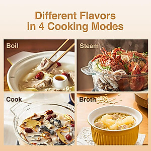 Joydeem Electric Glass Steam Cooker, Ceramic Tagine Pot for Soup, Hot Pot, Seafood, Multi-use Chinese Stew Pot, JD-ZQG9099
