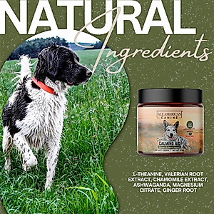 All American Canine Gentle Calming Aid Сhew for Anxiety and Stress Support in Working, Hunting, & Sports Dogs | 60 Soft Chews | Effective Stress Relief | Natural Calming Ingredients