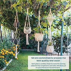 Nook Theory 4-Pack Macrame Plant Hanger - with 8 Ceiling Hooks - Hanging Planter Indoor Outdoor - Hanging Plant Holder - Decorative Bohemian Plant Hangers - Hanging Plants (Cream)