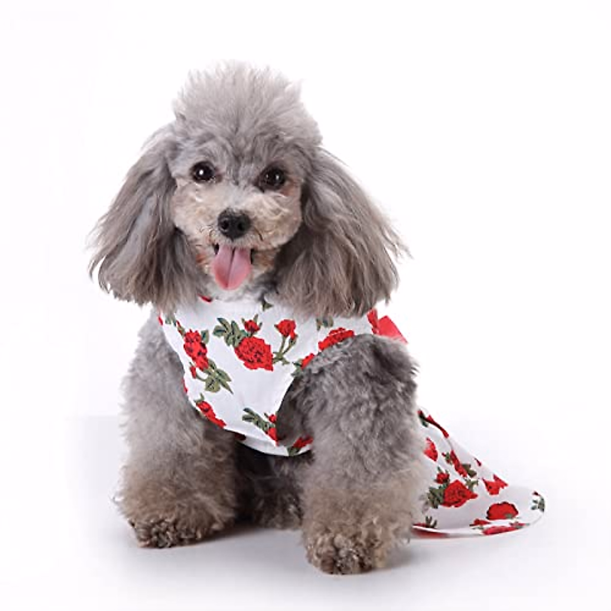 Dog Dresses Thin Princess Dress Bowknot Floral with Elegant Ribbon Skirt Pet Clothes for Small Dogs on Wedding Holiday Birthday (S)