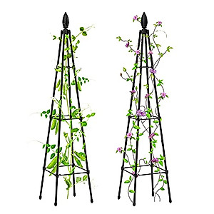2 Packs Garden Trellis for Climbing Plants Outdoor, deaunbr Plant Support Tower Obelisk Trellis Garden Trellises for Vines, Flowers Stands, Indoor Potted Plants, Rose, Cucumber, Pea, Tomato, Clematis