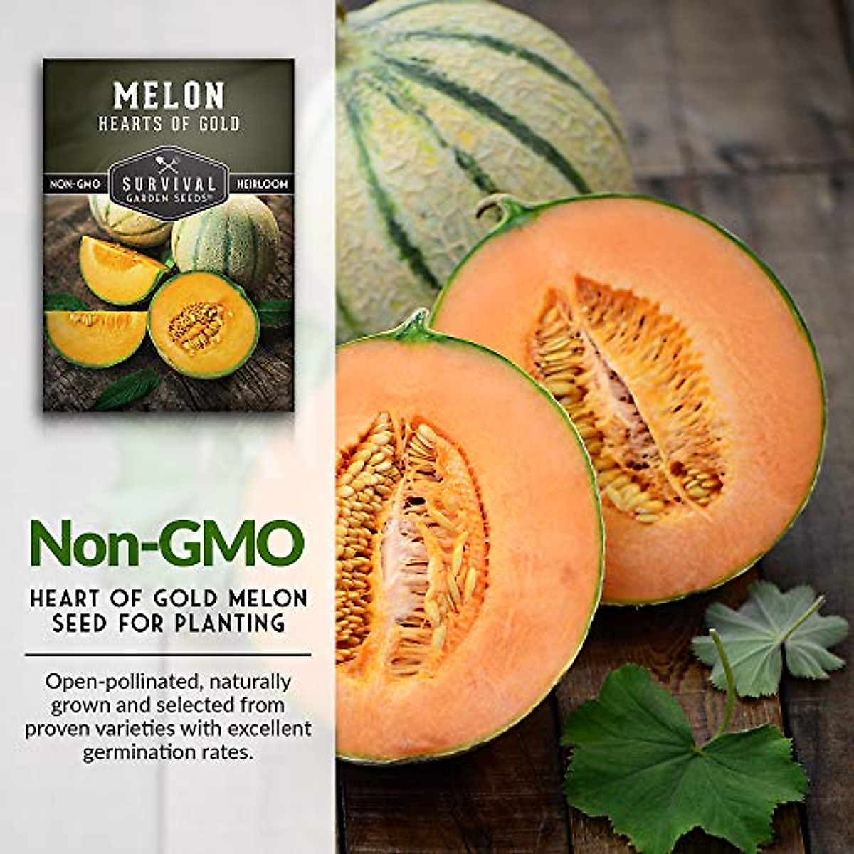 Survival Garden Seeds - Hearts of Gold Melon Seed for Planting - Packet with Instructions to Plant and Grow Sugar Sweet Cantaloupe Fruit in Your Home Vegetable Garden - Non-GMO Heirloom Variety