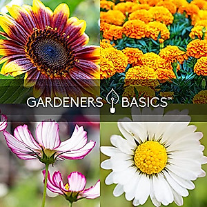 Flower Garden Seeds for Planting Outdoors Flower Seeds (5 Variety Pack) Daisy, Marigold, Cosmos, Sunflower, Zinnia Varieties for Bees, Pollinators Wildflower Seed by Gardeners Basics