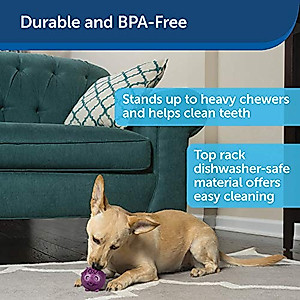 PetSafe Busy Buddy Cow Wow Dog Chew Toy - Treat Dispenser - Small Medium/Large