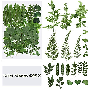 42 Pieces Dried Pressed Leaves Dried Flowers for Resin Real Assorted Dried Greenery for Pressed Leaf Art Craft DIY Embellishment Decorations, 7 Styles
