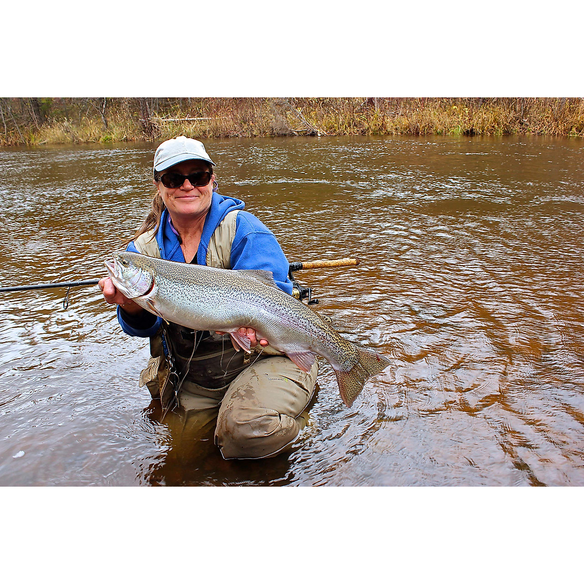 St. Croix Rods Triumph Salmon & Steelhead 2-Piece Casting Rod, Blue, 8'6"